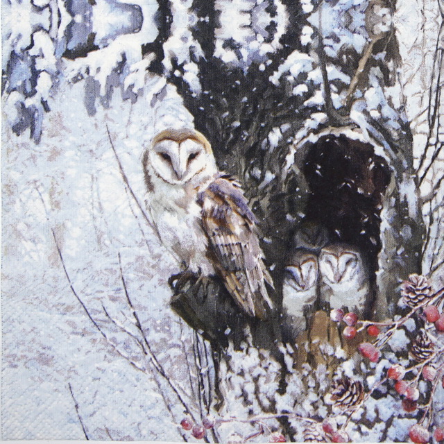 Paper Napkin - Barn Owl - Napkin Shop