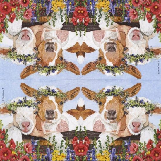 Gary & Gracie Decoupage Napkin by PPD – Single Paper Napkin for Crafts